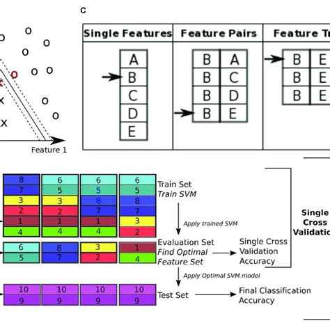 Misclassification Rate A Distribution Of Misclassification Rate Download Scientific