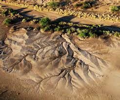 Rill Erosion Definition Causes And Prevention Lesson