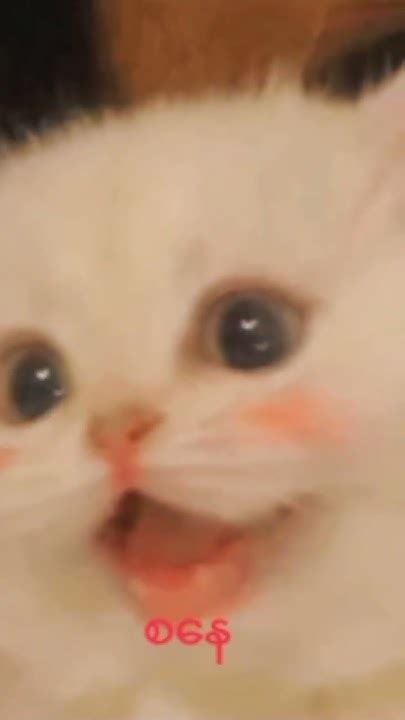 ပါကြရဲ့လားဗျ ️အားပေးတဲ့အတွက်အားလုံးကိုကျေးဇူးတင်ပါတယ်ဗျ ️🥰🥰🥰🥰🥰 Youtube