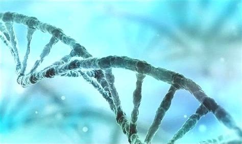 Renu Syndrome Kondisi Langka Yang Mengubah Dunia Medis