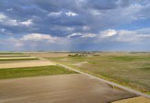 Can Open Data Feed The World