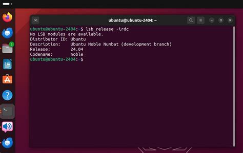 Ubuntu 2404 その13 デフォルトの端末に引き続きgnome Terminalを採用 Kledgeb