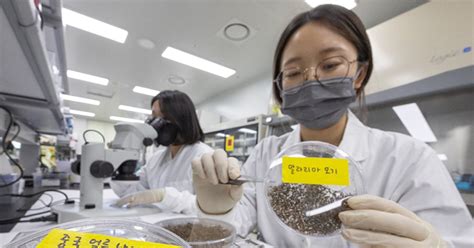 말라리아 매개모기 증가…전국에 ‘말라리아 주의보 발령