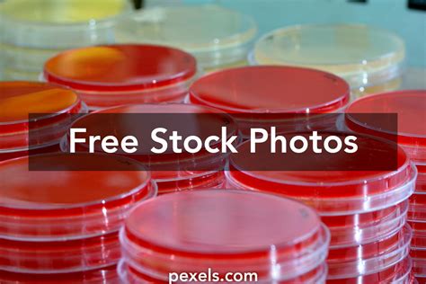 Red Biotechnology Photos Download The Best Free Red Biotechnology