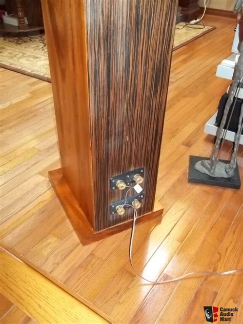 Custom Build Line Array Photo Canuck Audio Mart