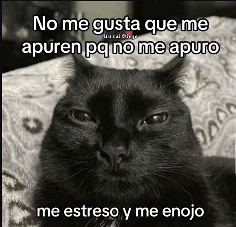 64 Ideas De Risas Imágenes Graciosas Memes Divertidos Chistes Graciosos