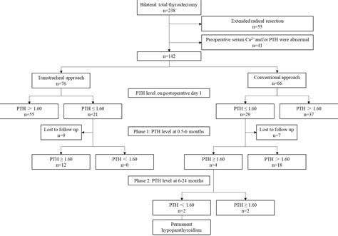 A Surgical Procedure For Thyroidectomy Para Tracheal Capsular