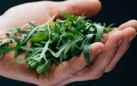 Лікар назвав три продукти які найкраще очищають артерії знижують рівень холестерину та