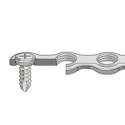 Buy Mini Bone Plates And Screws Online At Best Price Dentalkart