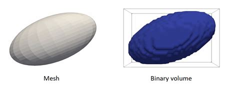 How To Groom Your Dataset Shapeworks