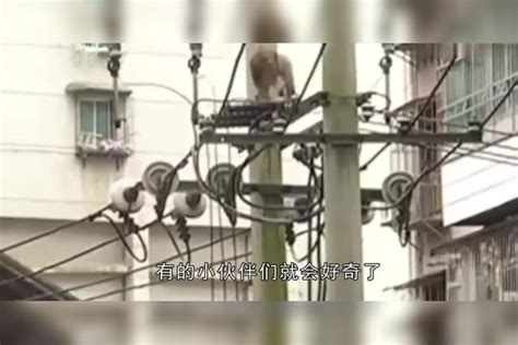 国外猴子爬到高压电线杆上，瞬间电成火猴，镜头拍下整个过程电线杆高压瞬间