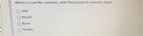 solved which is a cord like nonelastic white fibrous band