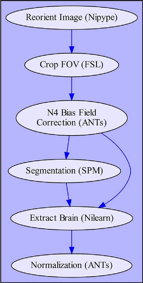 Depiction Of Fmriflows Anatomical Preprocessing Pipeline Arrows Download Scientific Diagram