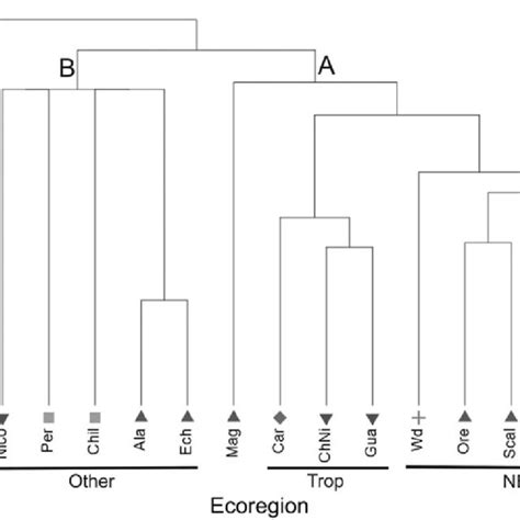 Cluster Classification Analysis Of The Biogeographic Groups Of