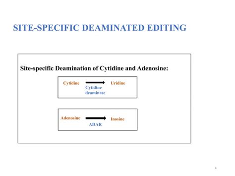 Rnaeditingpptx Programming Languages Computing Rnaeditingpptx Programming Languages Computing