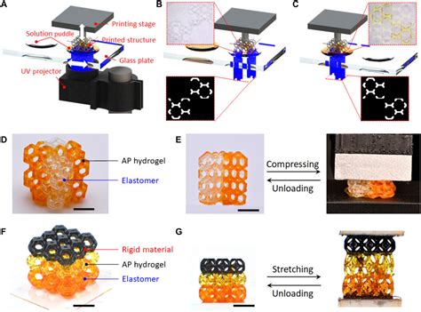 3 D Printing Highly Stretchable Hydrogel With Diverse Uv Curable
