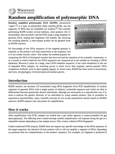random amplification of polymorphic dna pdf polymerase chain