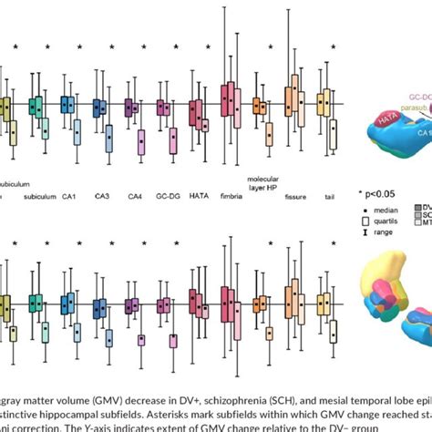 Table A Describes Seizure Behavioral Scoring For Each Racine Scale