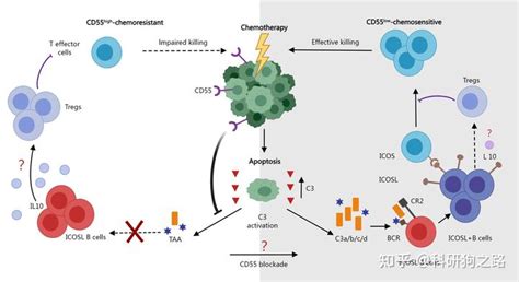 MedPeer基于人工智能技术的生物医学科研创新平台 知乎
