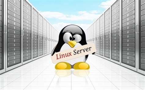 Why You Need The Affordable And Robust Linux Vps Server For Your Business Seeromega