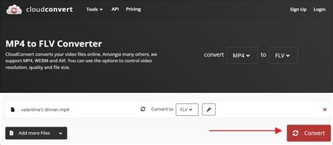 Best Ways To Convert MP To FLV VideoProc
