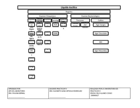 Examen Citoquímico De Líquido Ascítico Pdf Histología
