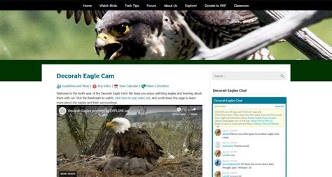 Decorah Eagle Cam Gcli Leadership