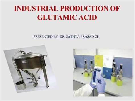 Production Of Glutamic Acid Pptx Production Of Glutamic Acid Pptx