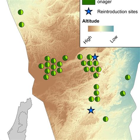 Spatial Autocorrelation Spatial Distribution Of Individual Samples