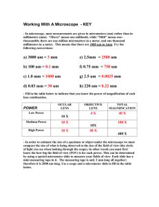 Microscope Calculations Worksheet Magnification FOV