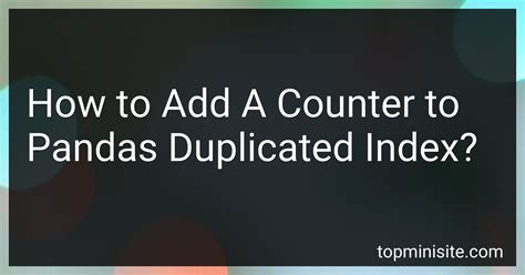 How To Add A Counter To Pandas Duplicated Index In 2024