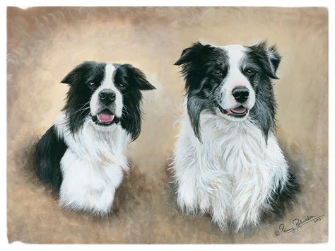Pet Portraits In Birmingham By Artist Penny Richardson