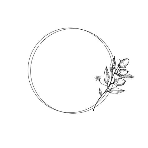 Wreath Frame With Cocoa Branch A Bunch Of Cocoa Beans Whole Fruits Harvest Cocoa Fruits