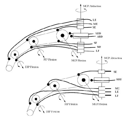 2i and i 1 tendon robot fingers i is number of dof of the finger