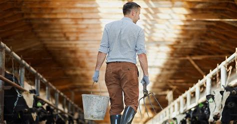 햇볕이 잘 드는 소 헛간 복사 공간을 건너는 양동이를 들고 있는 현대 농장 노동자의 뒷모습 초상화 사진 Unsplash의