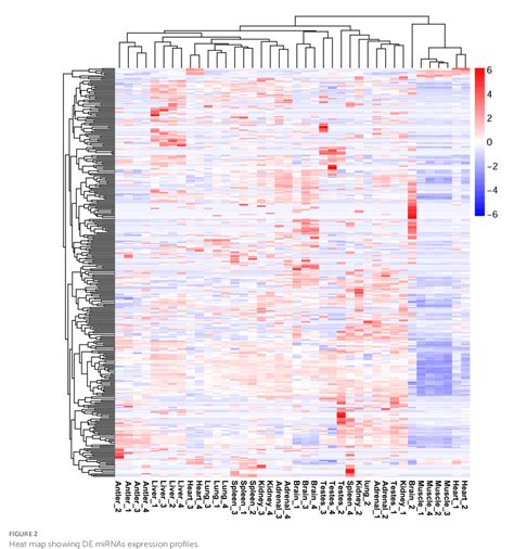 Figure 1 From The Combination Of Smrt Sequencing And Illumina Sequencing Highlights Organ