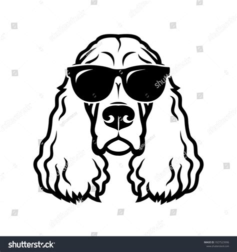 Cocker Anglais Dessin 848 Photos Libres De Droits Et Images De Stock Shutterstock