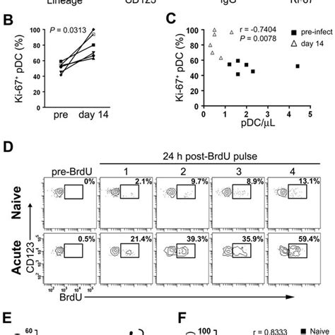 Normal Frequency Of Pdc In Bone Marrow In Acute Siv Infection A