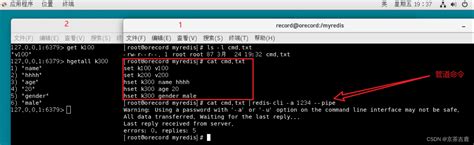 redis管道 阿里云开发者社区