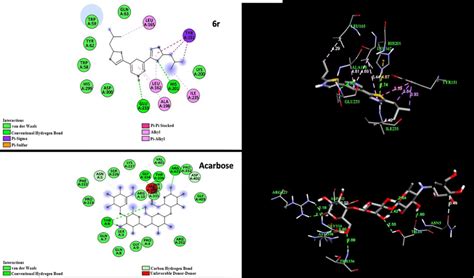 The 2d And 3d Binding Interactions Of The 6r And Acarbose Within The
