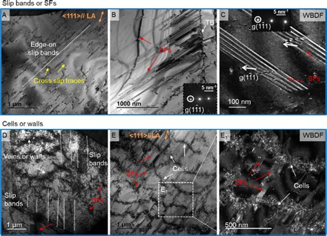 Tem Micrographs Of The Cocrni Alloy Tested Under 07 Strain Amplitude
