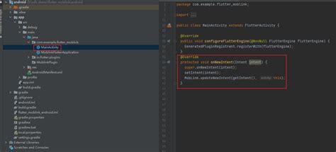 moblink for flutter flutter mobtech袤博科技 infoq写作社区