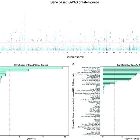 A Gene Based Manhattan Plot Negative Log10 Transformed Pvalues For