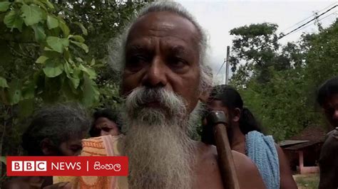 වරිගෙ අයිතිවාසිකම් නොරකින අයගෙන් ආදිවාසී නායකයා කළ ඉල්ලීම Bbc News සිංහල