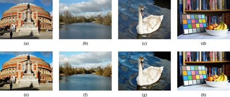 Images From The Recapture Database Showing Examples Of Originally Download Scientific Diagram