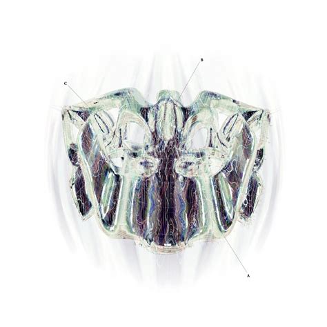 Osseous Fragments Ian Dayagbil