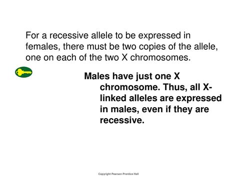 Copyright Pearson Prentice Hall Ppt Download