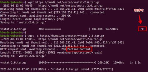 how to download a file on ubuntu using the command line linuxways