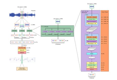 Zleepanlystnet Introduces A Pioneering Deep Learning Framework For Sleep Stage Classification