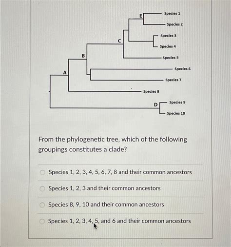Solved From The Phylogenetic Tree Which Of The Following Chegg